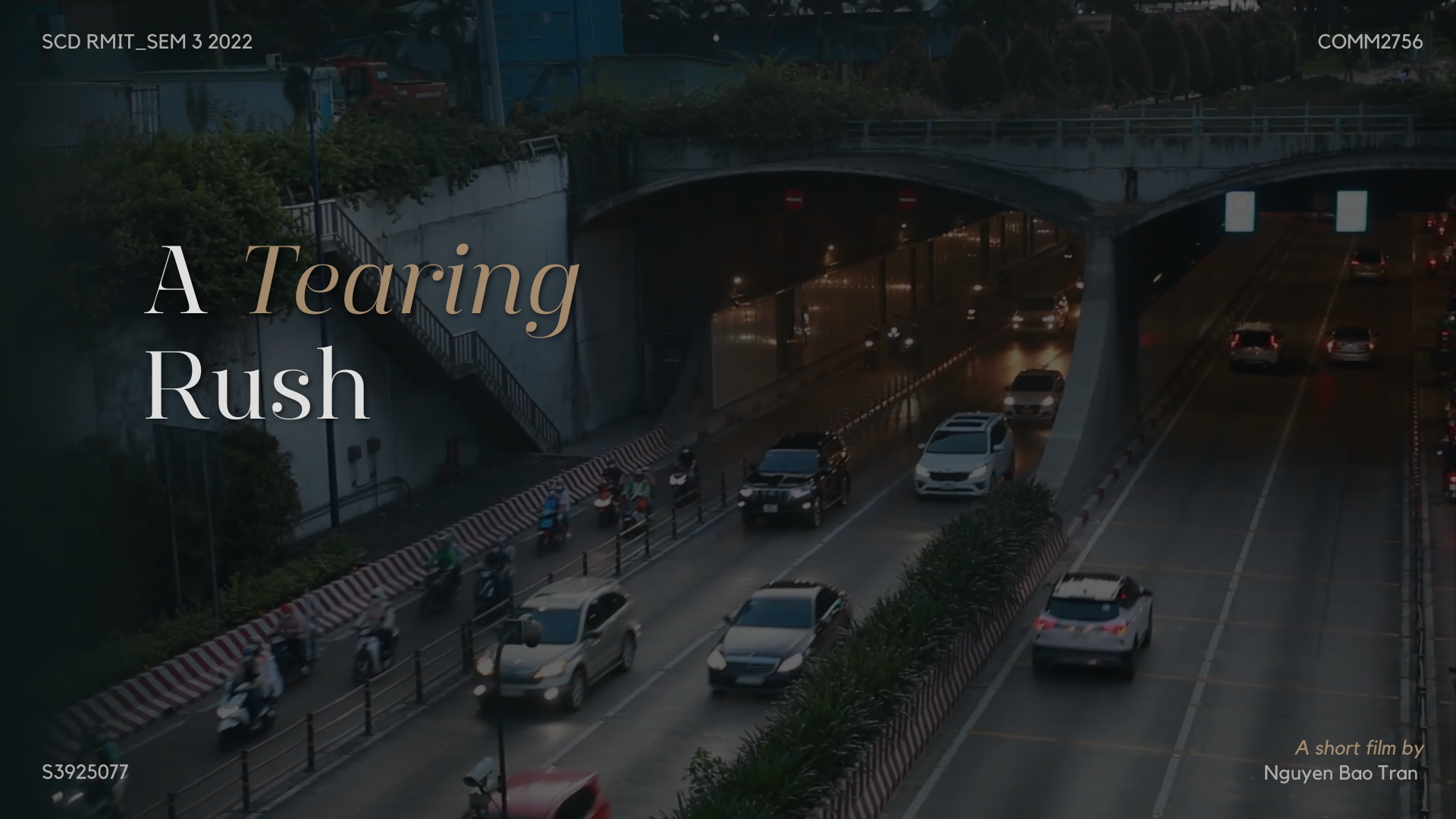 Nguyen Bao Tran | Graphic Designer Portfolio | Portfolio